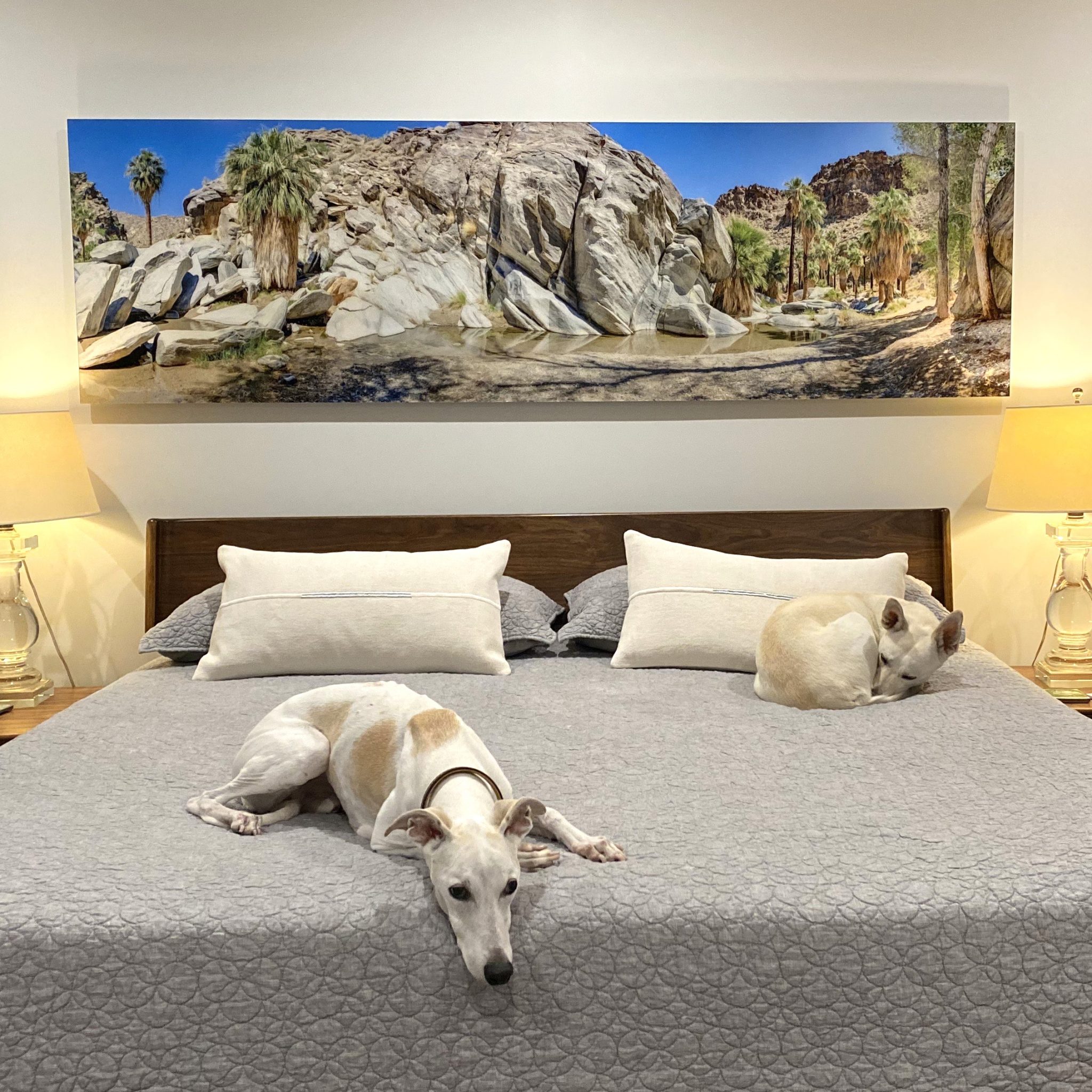 Go Big With Large Format Acrylic Printing | Bumblejax Blog